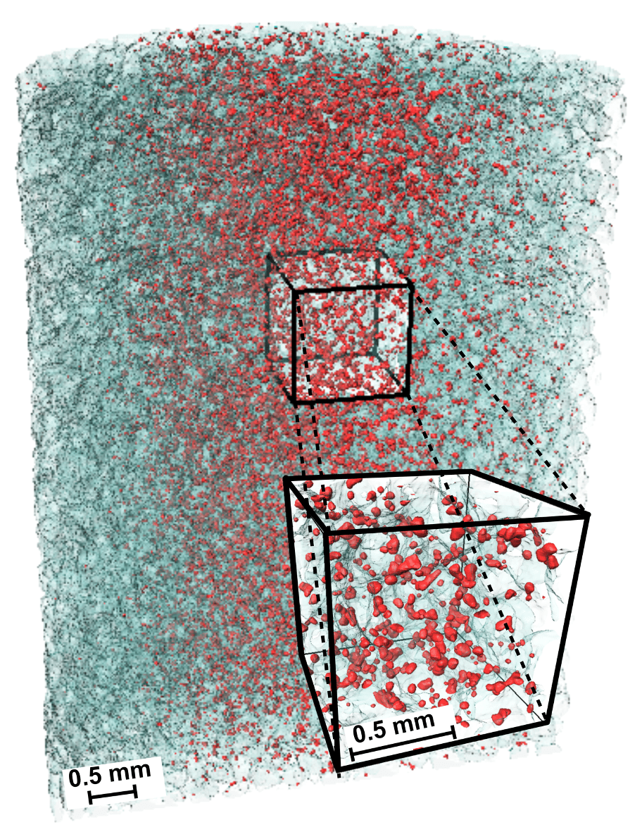 Controlled Carbonate precipitation for Net-Zero Energy Applications ...
