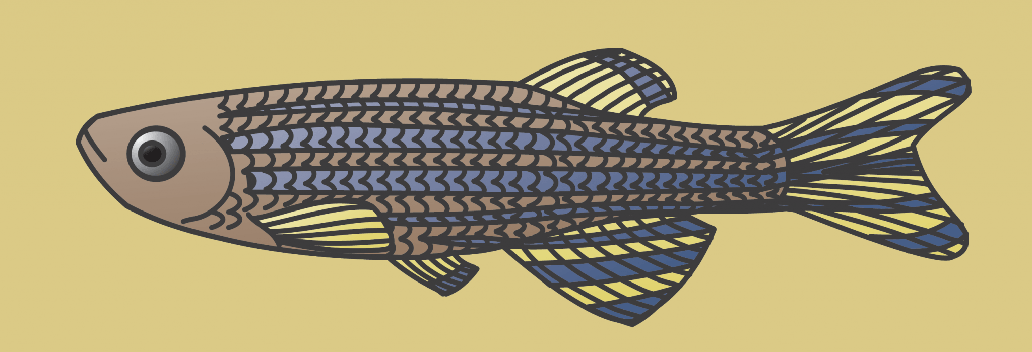 Tackling taxonomic and taphonomic biases in the Triassic fossil fish ...