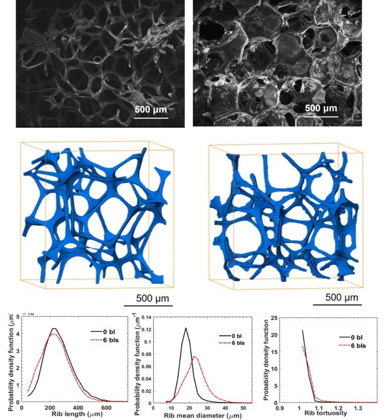 Sepiolite/chitosan layer-by-layer coatings for flexible polyurethane ...