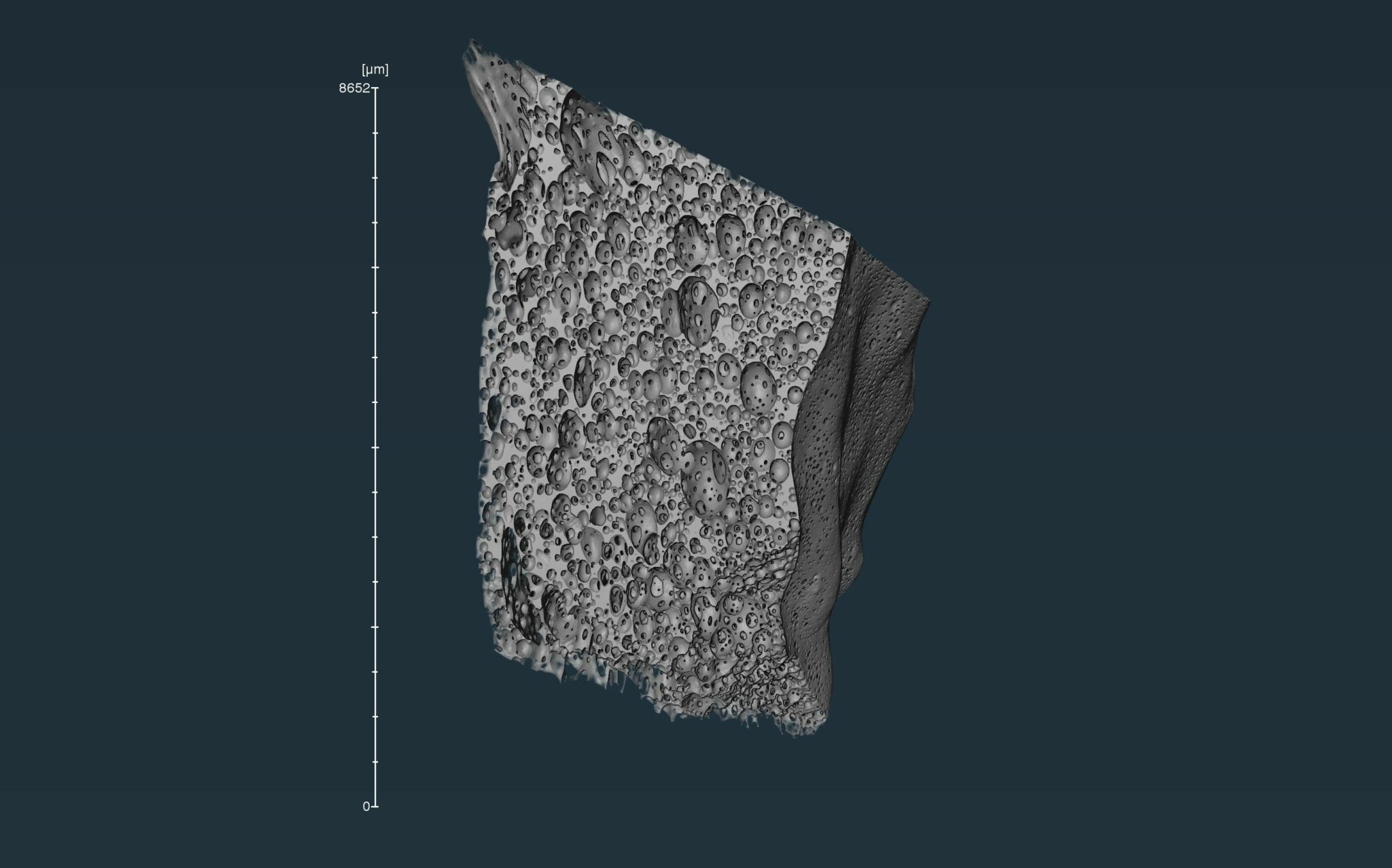 Vesiculation during magma ascent - National X-ray Computed Tomography